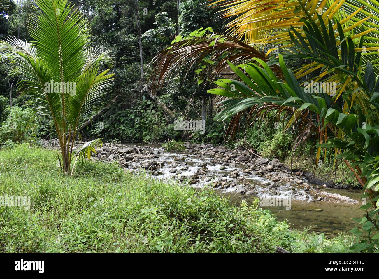 Toco, Trinidad and Tobago - March 26, 2022 - The Shark River located ...