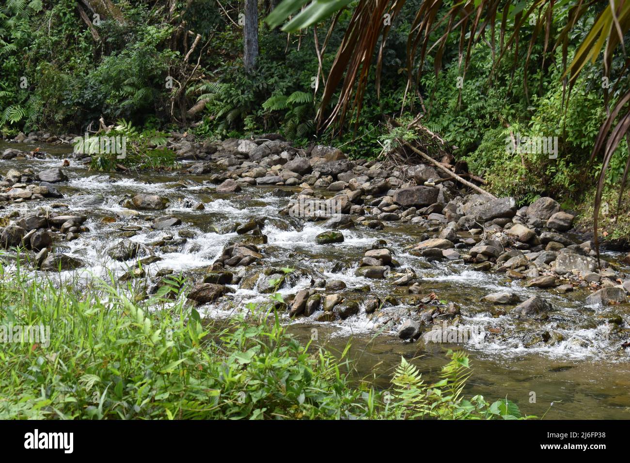 Toco, Trinidad and Tobago - March 26, 2022 - The Shark River located ...