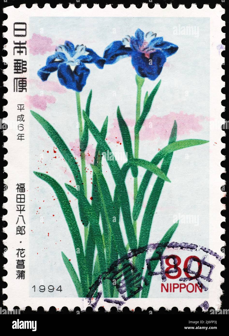 Iris painted on japanese postage stamp Stock Photo - Alamy