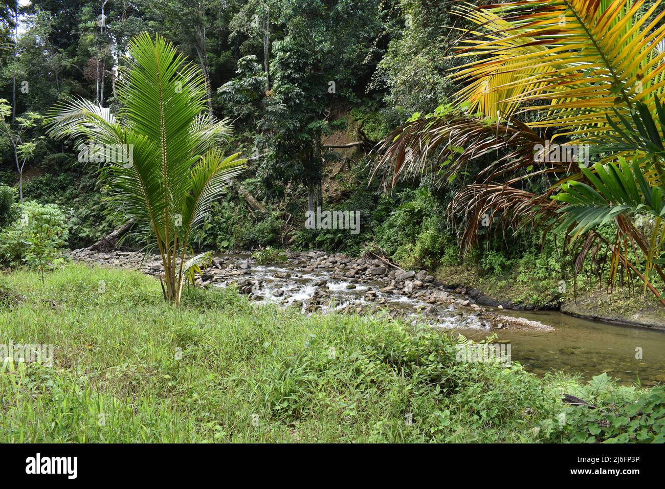 Toco, Trinidad and Tobago - March 26, 2022 - The Shark River located ...
