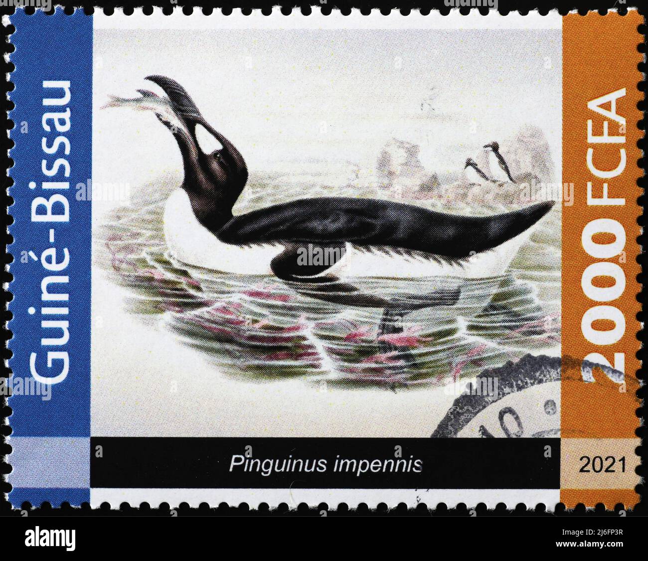 Great auk, extinct bird, on postage Stock Photo - Alamy