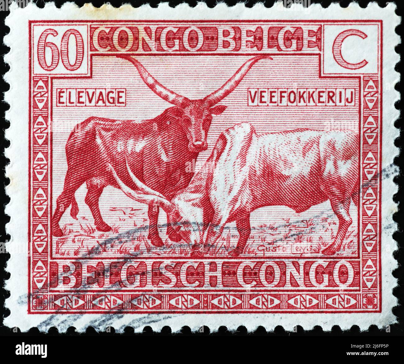 Long-horn oxen on vintage african postage stamp Stock Photo - Alamy