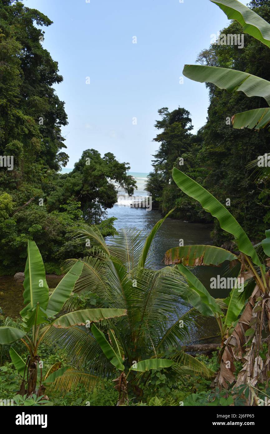 Toco, Trinidad and Tobago - March 26, 2022 - The Shark River located ...