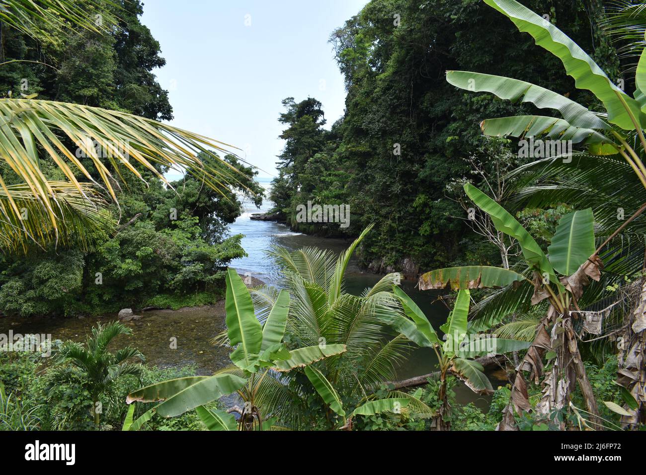 Toco, Trinidad and Tobago - March 26, 2022 - The Shark River located ...