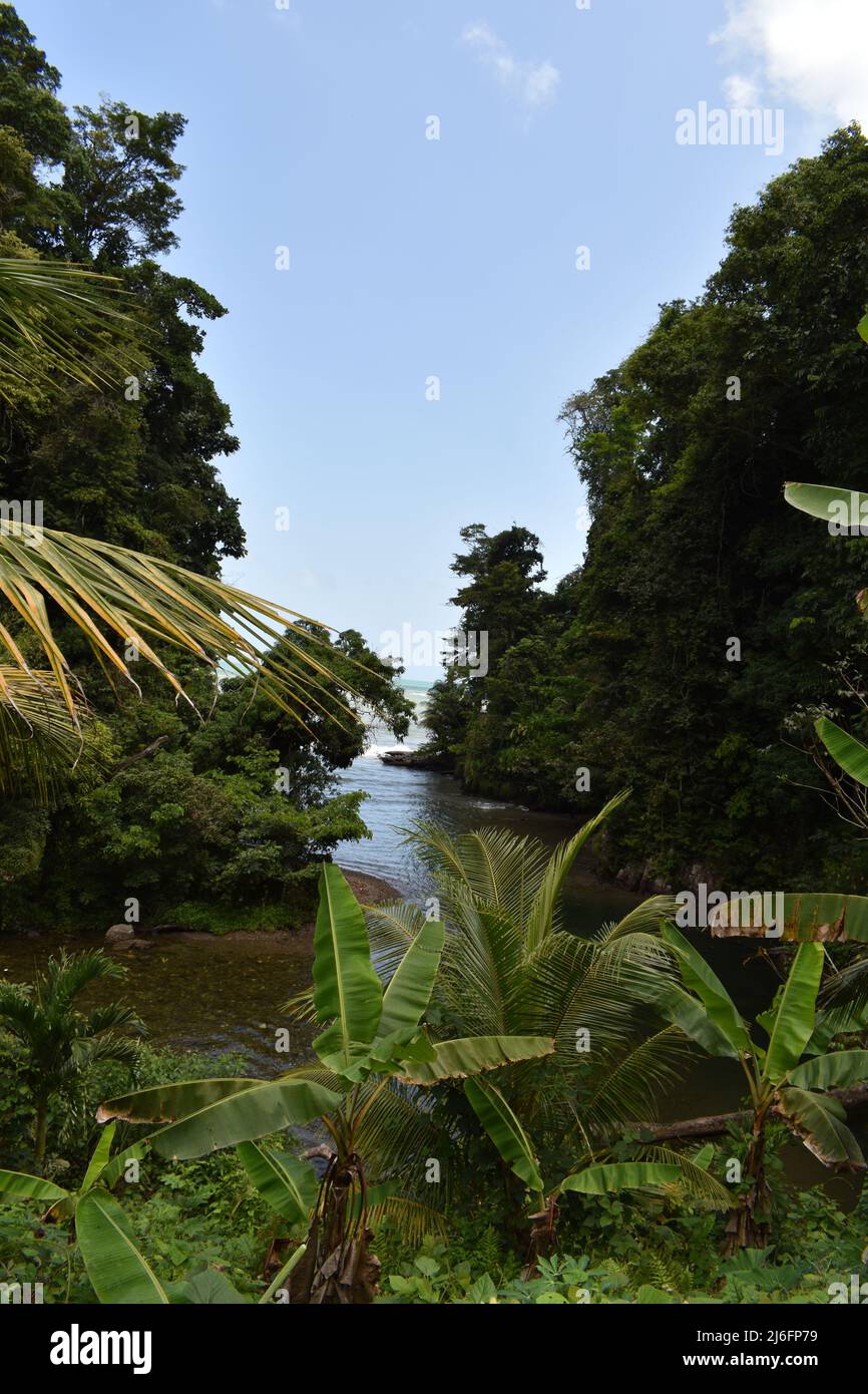 Toco, Trinidad and Tobago - March 26, 2022 - The Shark River located ...