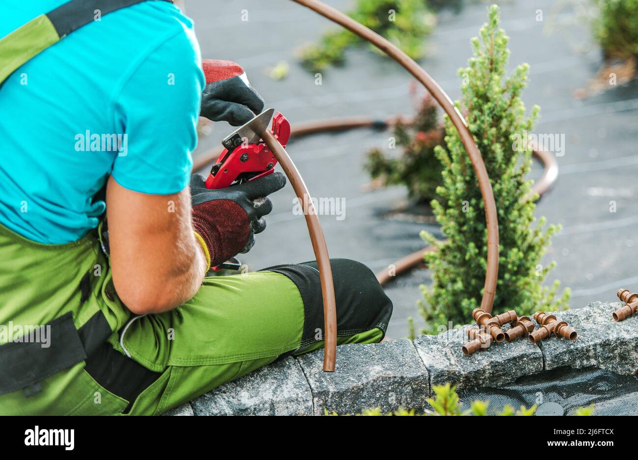 Landscaper Building Drip Irrigation Garden Watering System. Cutting ...