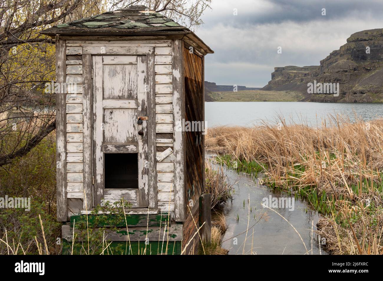 Old duck hi-res stock photography and images - Alamy