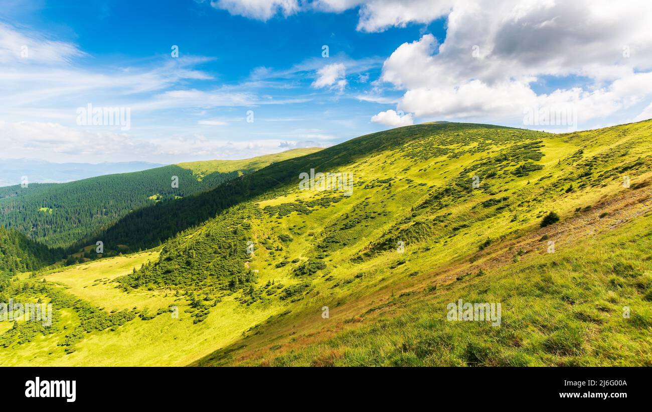 natural summer landscape with mountain valley. idyllic outdoor scenery ...