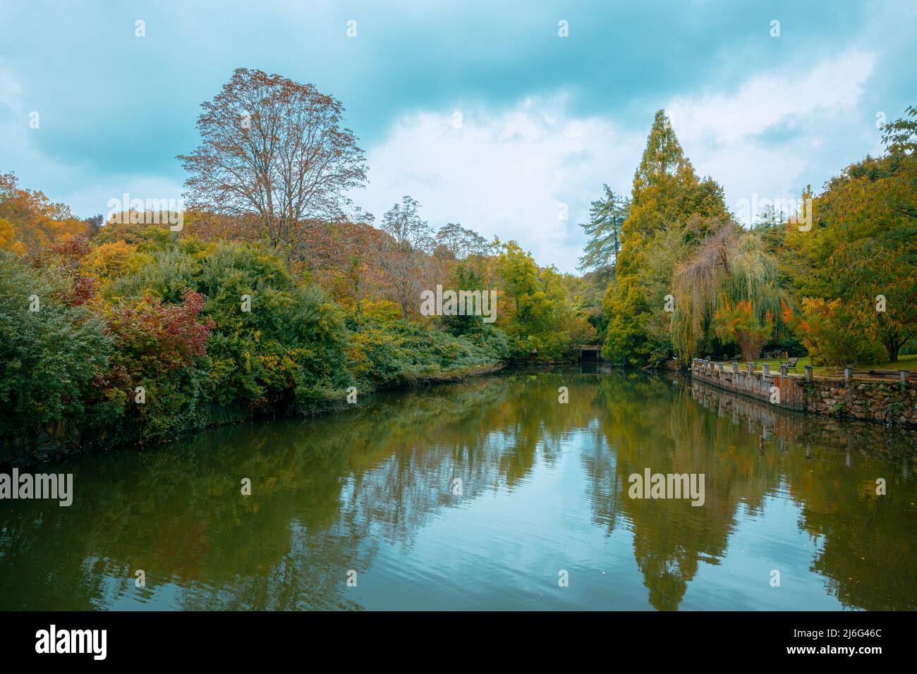 Autumn photo. Pond or lake in the forest or park at autumn. Fall ...