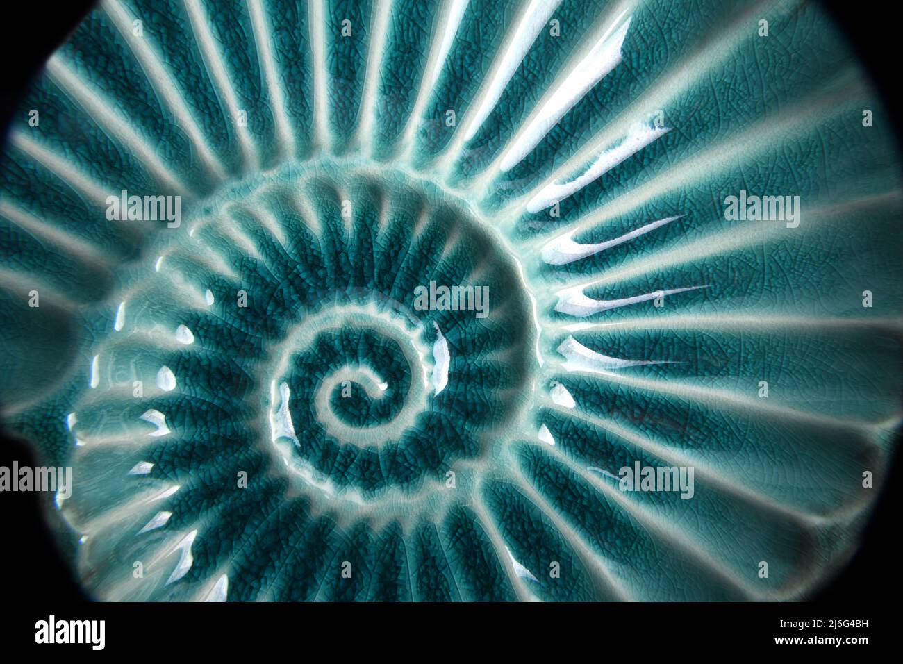 Plate and shell structure hi-res stock photography and images - Alamy