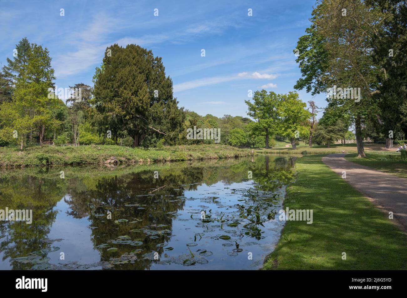 Painshill Cobham open gardens and lakes Stock Photo - Alamy