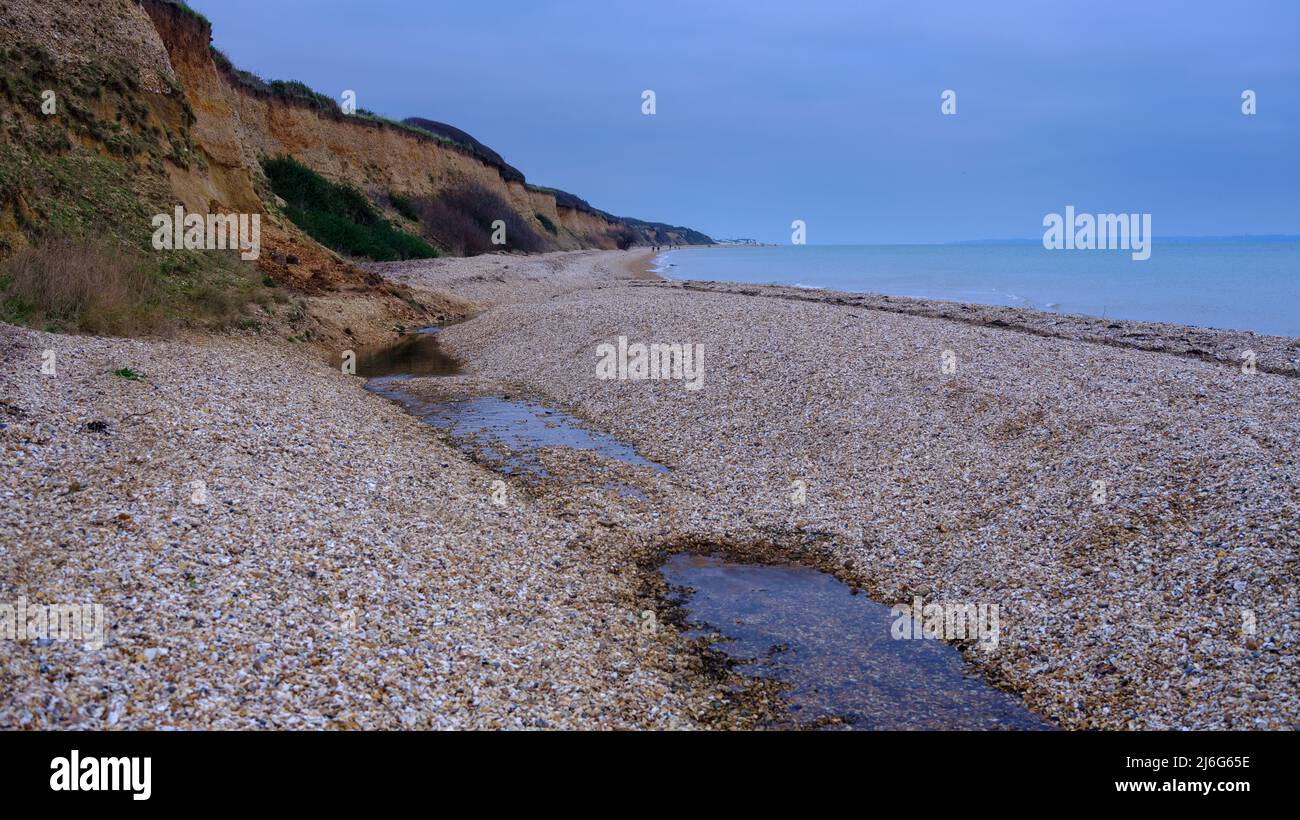 Summer 2022 wild birds High Resolution Stock Photography and Images - Alamy