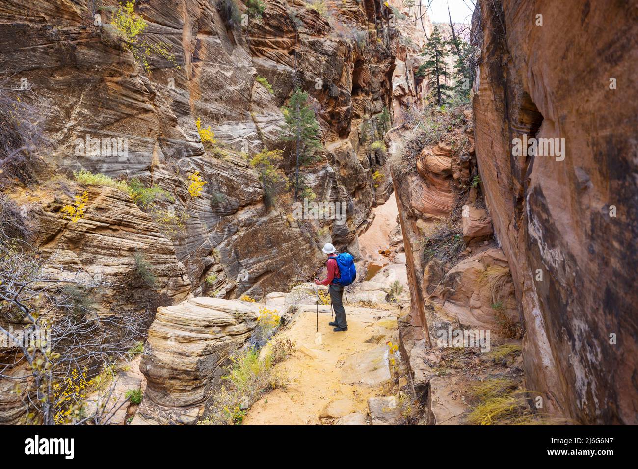 Hike in the Utah mountains. Hiking in unusual natural landscapes ...