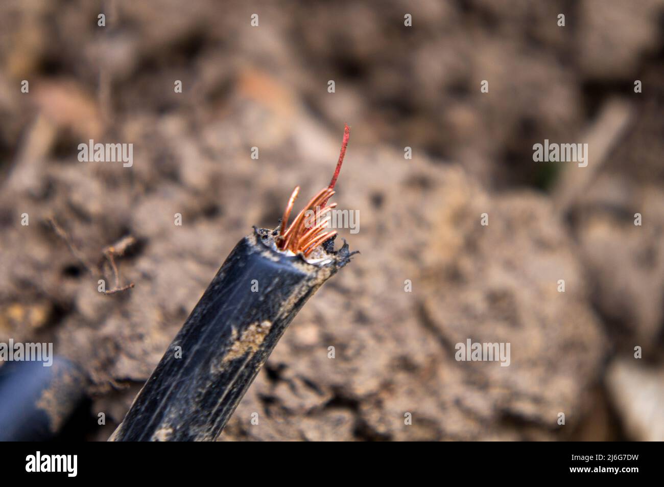 Telecom wiring hi-res stock photography and images - Alamy