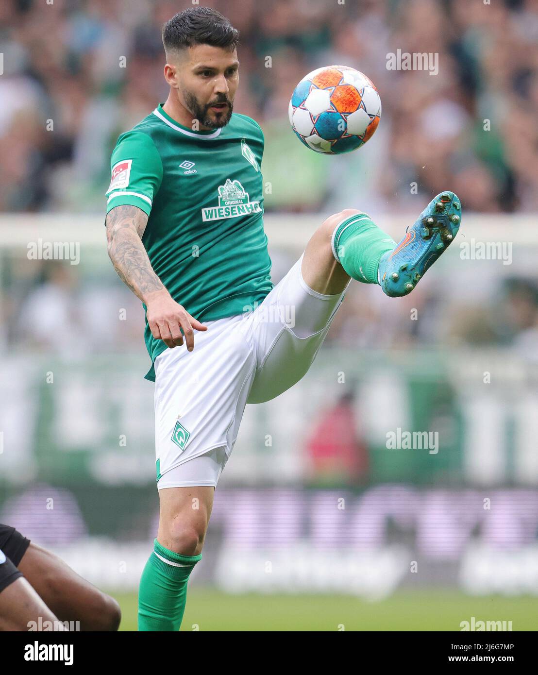 Holstein kiel 2022 hi-res stock photography and images - Alamy