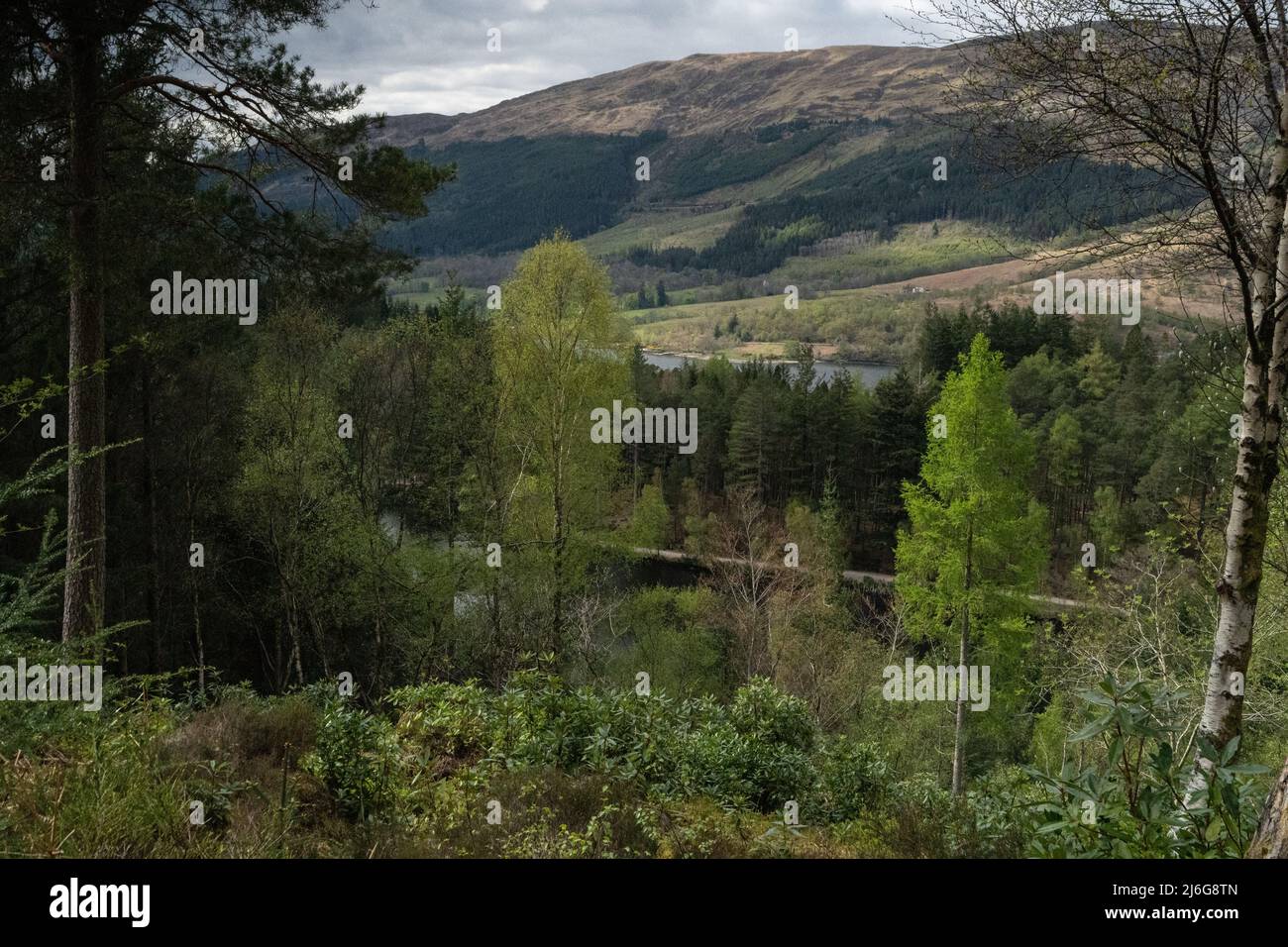 Lush green landscape hills hi-res stock photography and images - Alamy