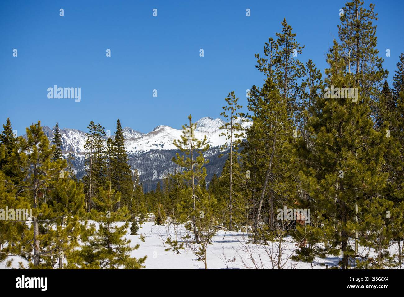 A scenic view of the Rocky Mountains from State Forest State Park in ...