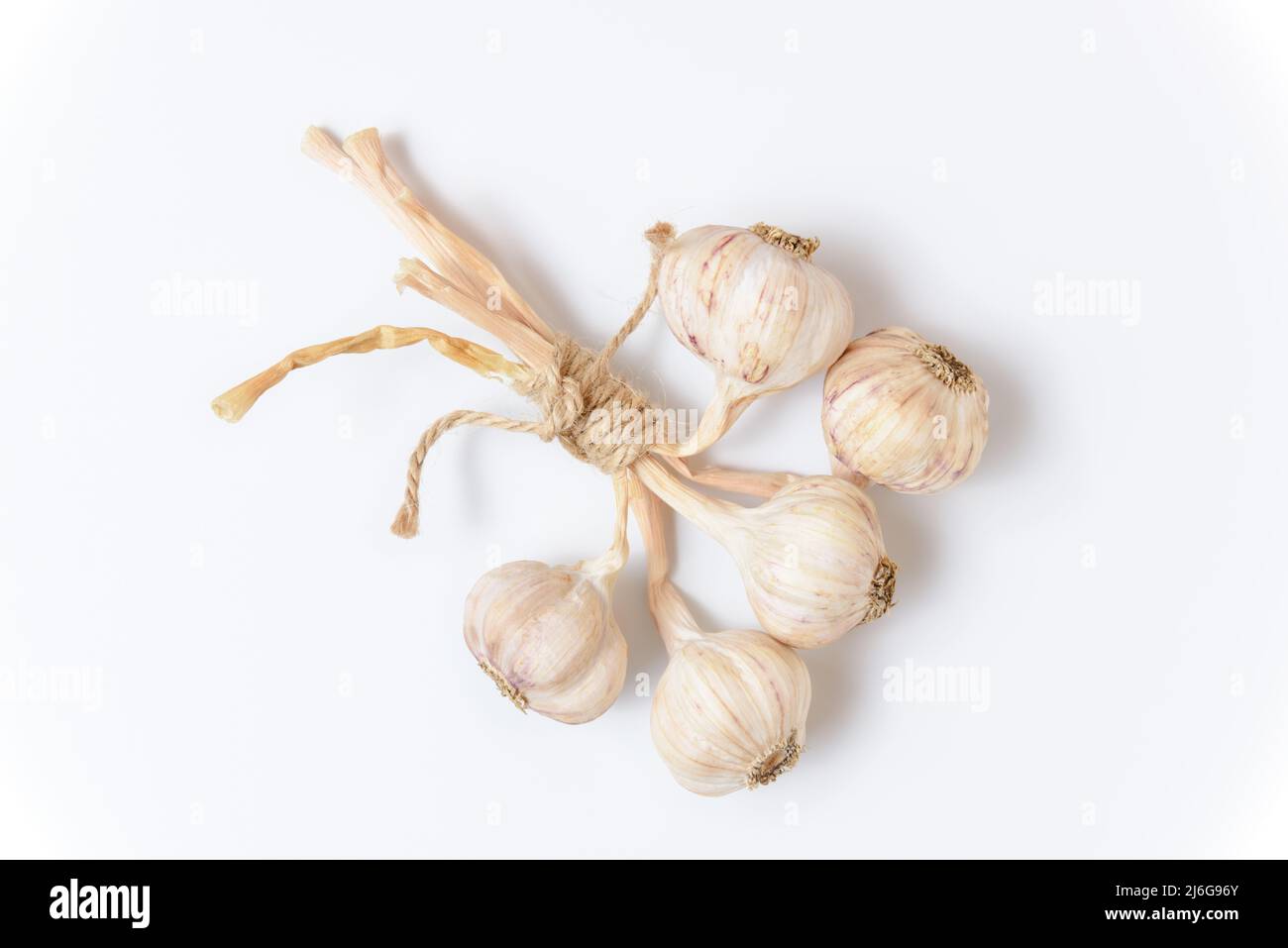 A bunch of fresh fragrant garlic isolated on a white background. Close ...