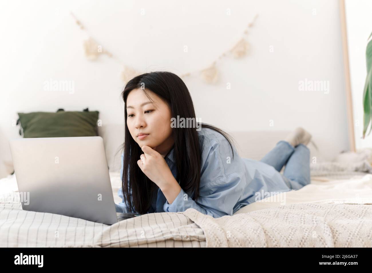Beautiful calm asian female freelancer is working on a laptop while ...