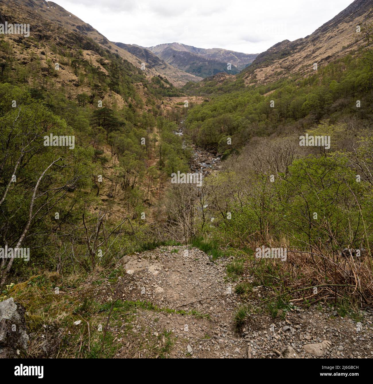Panoramic view of Scottish Highland valley with stream flowing through ...