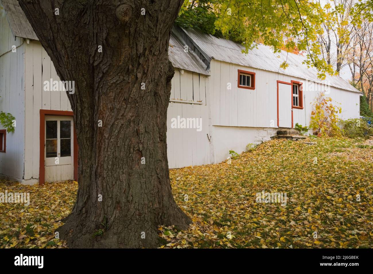 Sloped structure hi-res stock photography and images - Alamy