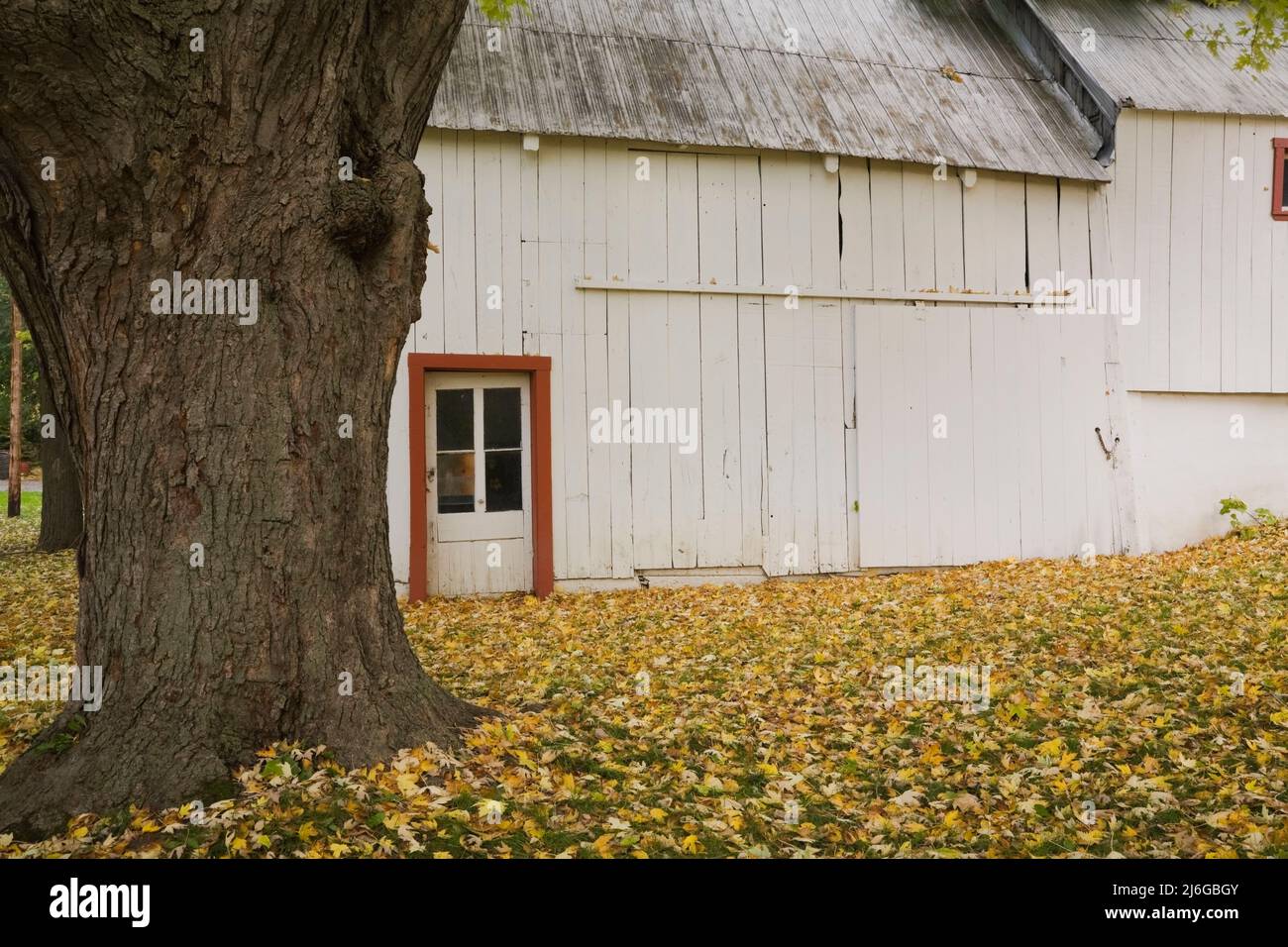 Large sloping backyard hi-res stock photography and images - Alamy