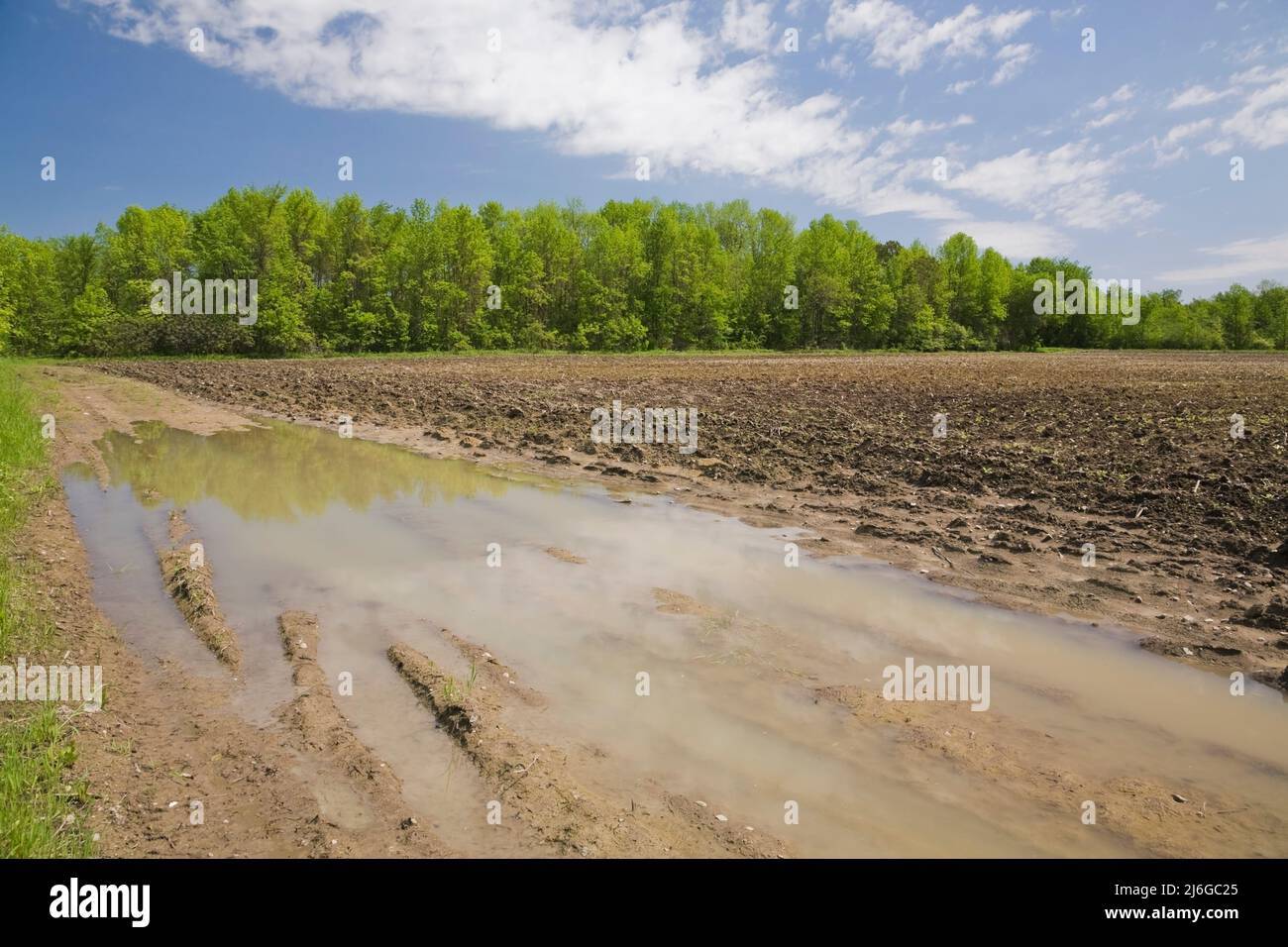 Flooded and muddy agricultural field after heavy rainfall in spring ...