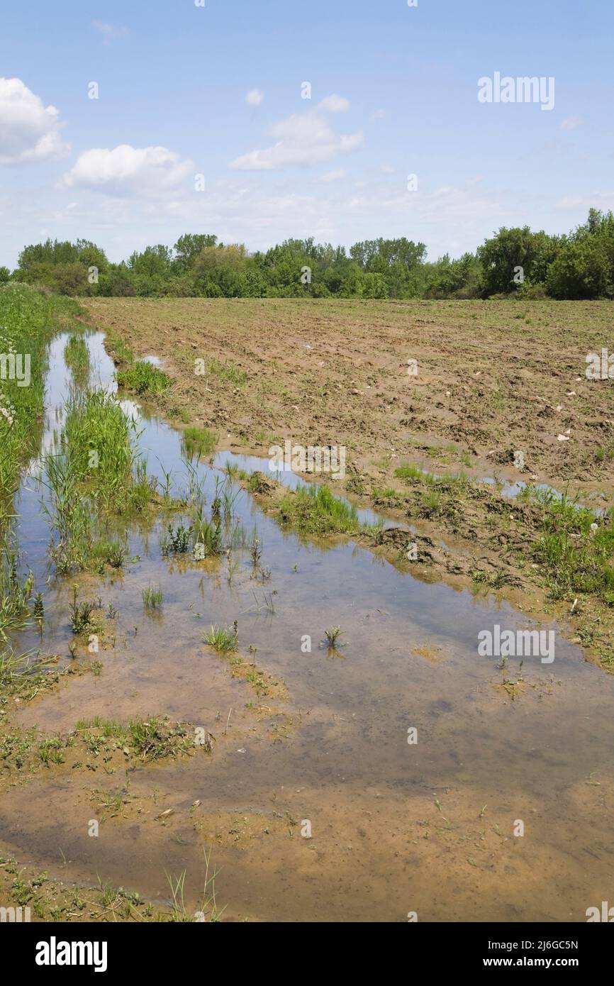 Flooded and muddy agricultural field after heavy rainfall in spring ...