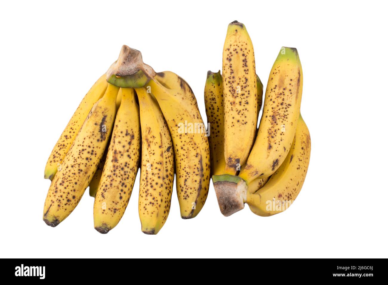 banana fruit close up, tropical fruit pattern, banana isolated Stock ...