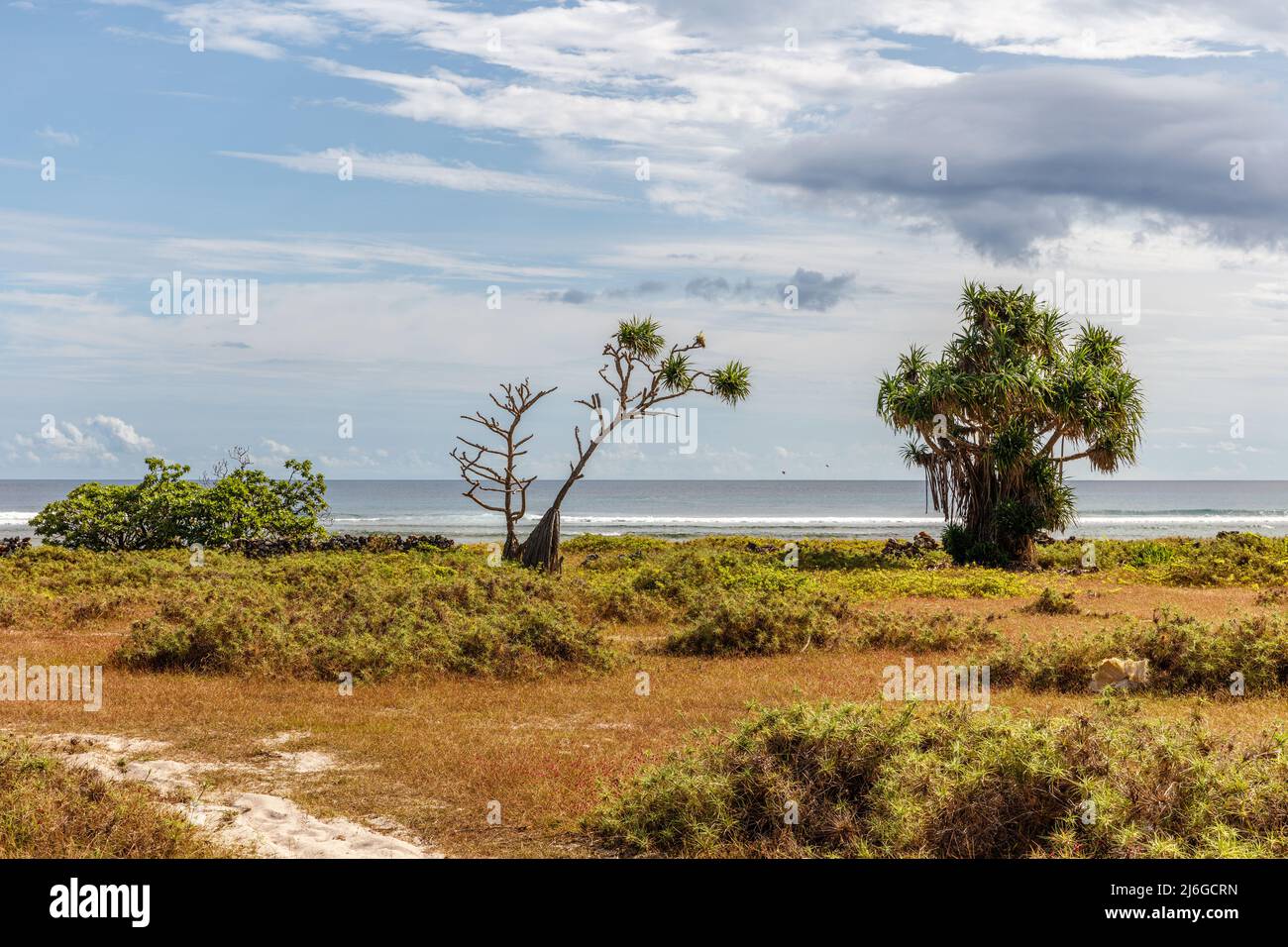 Savanna landscape of Boa Beach at Rote Island, East Nusa Tenggara ...