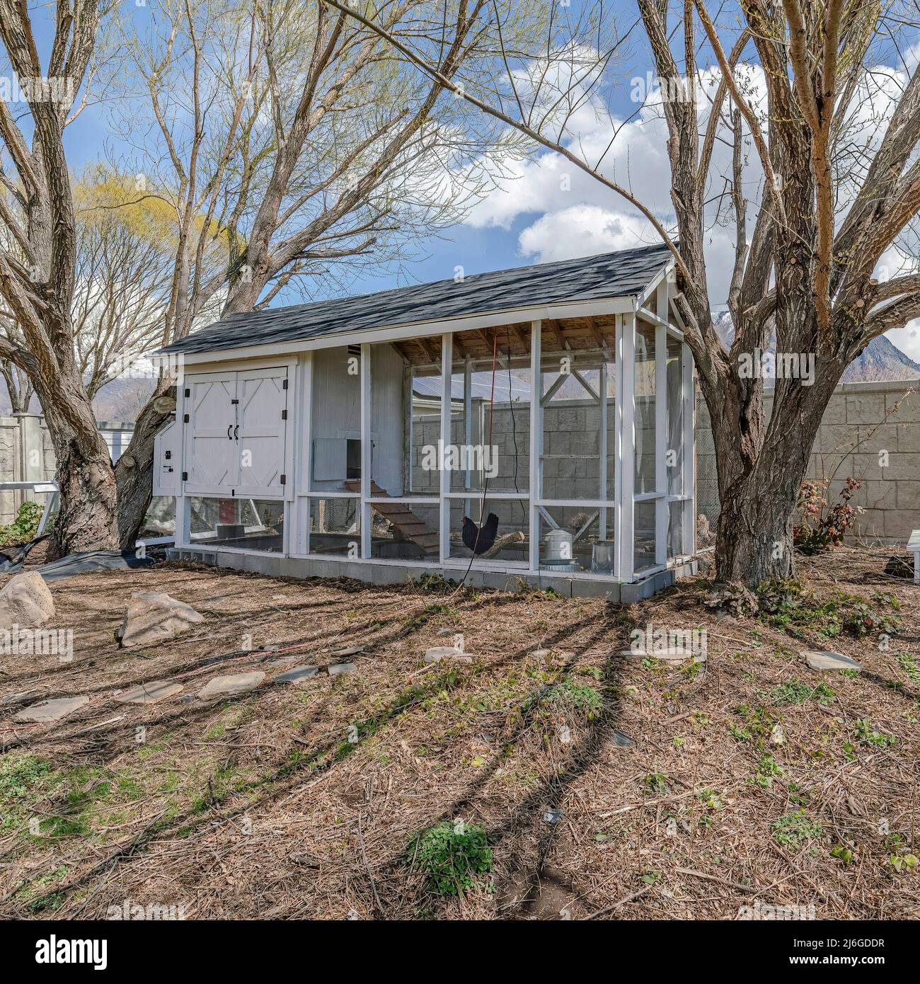 Square White puffy clouds Small white chicken coop in the middle of ...