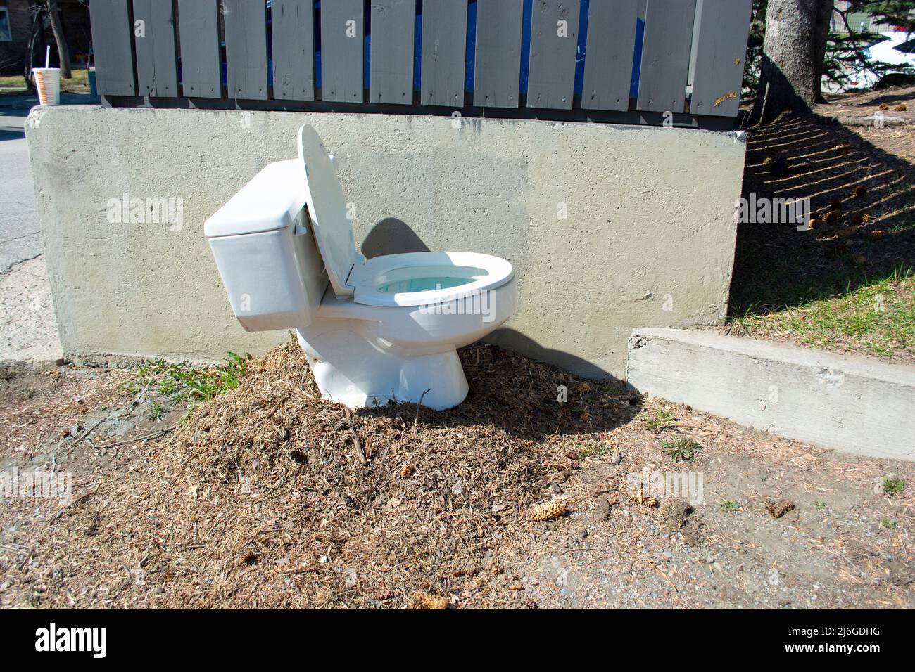 Toilet bowl sitting outside beside garbage area Stock Photo - Alamy