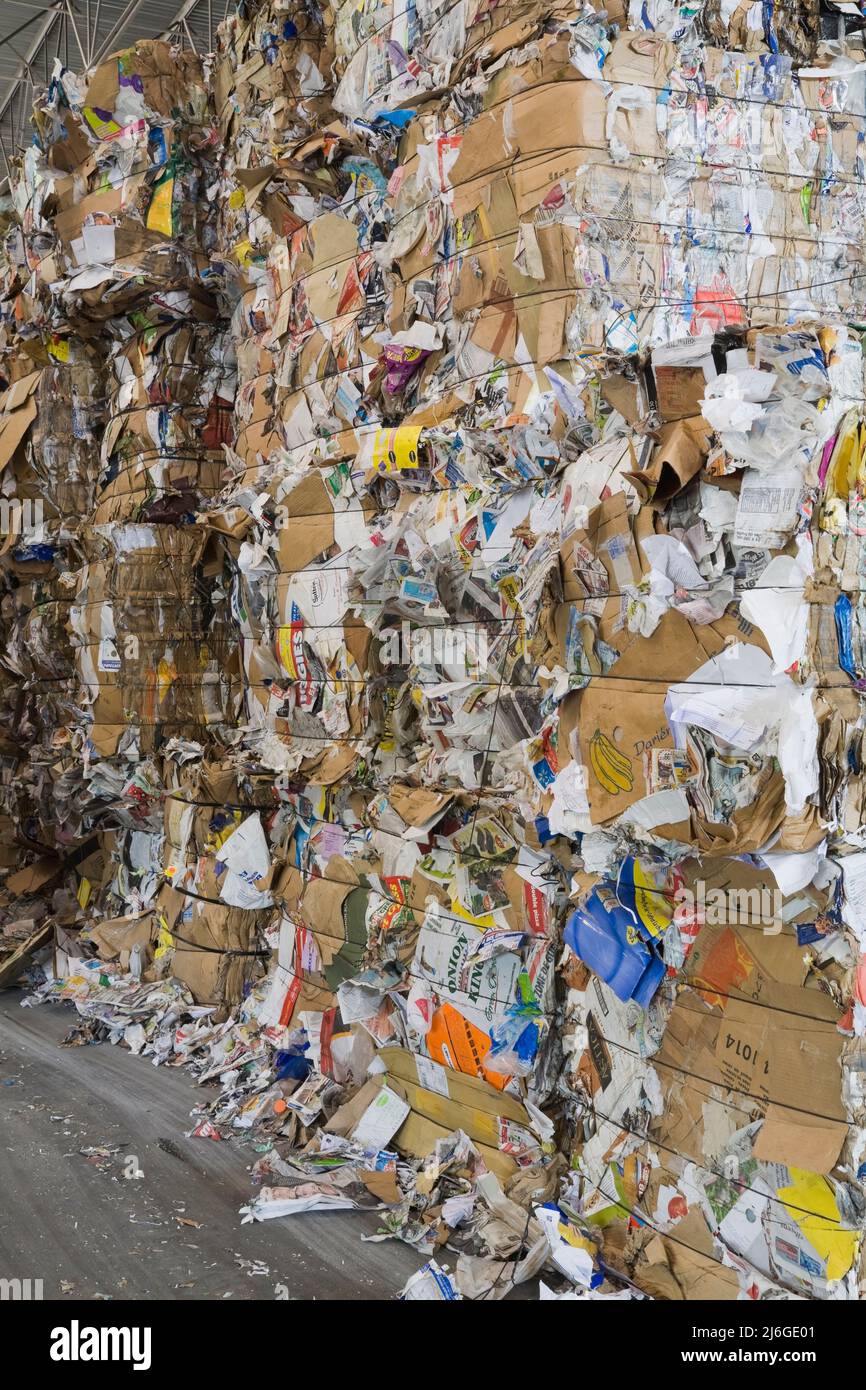Bales of recyclable cardboard and paper at sorting centre Stock Photo ...