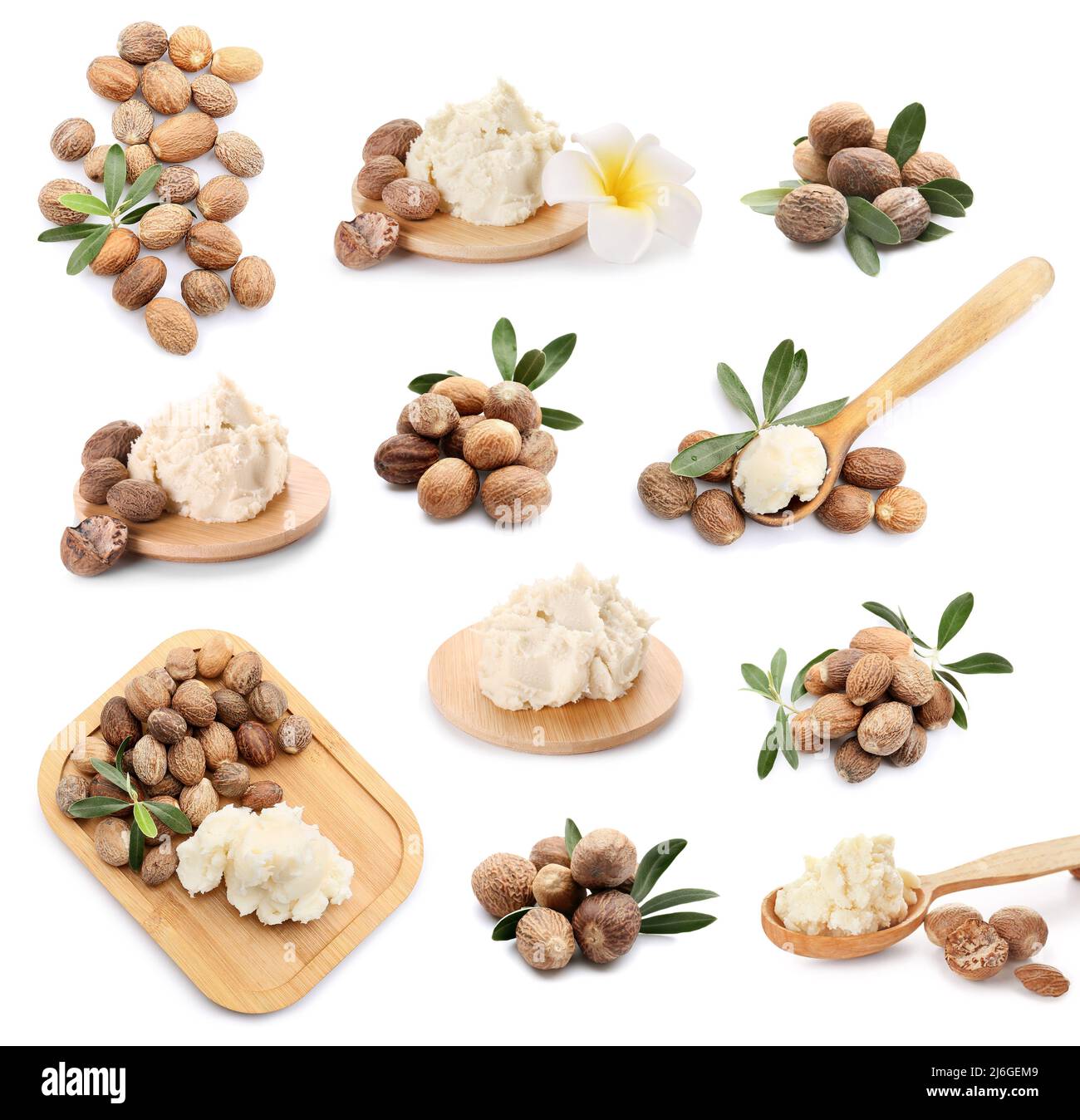 Shea nuts isolated hi-res stock photography and images - Alamy