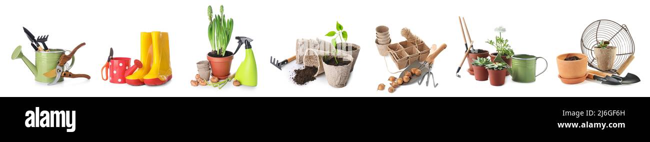 Set of different gardening tools and plants isolated on white Stock ...