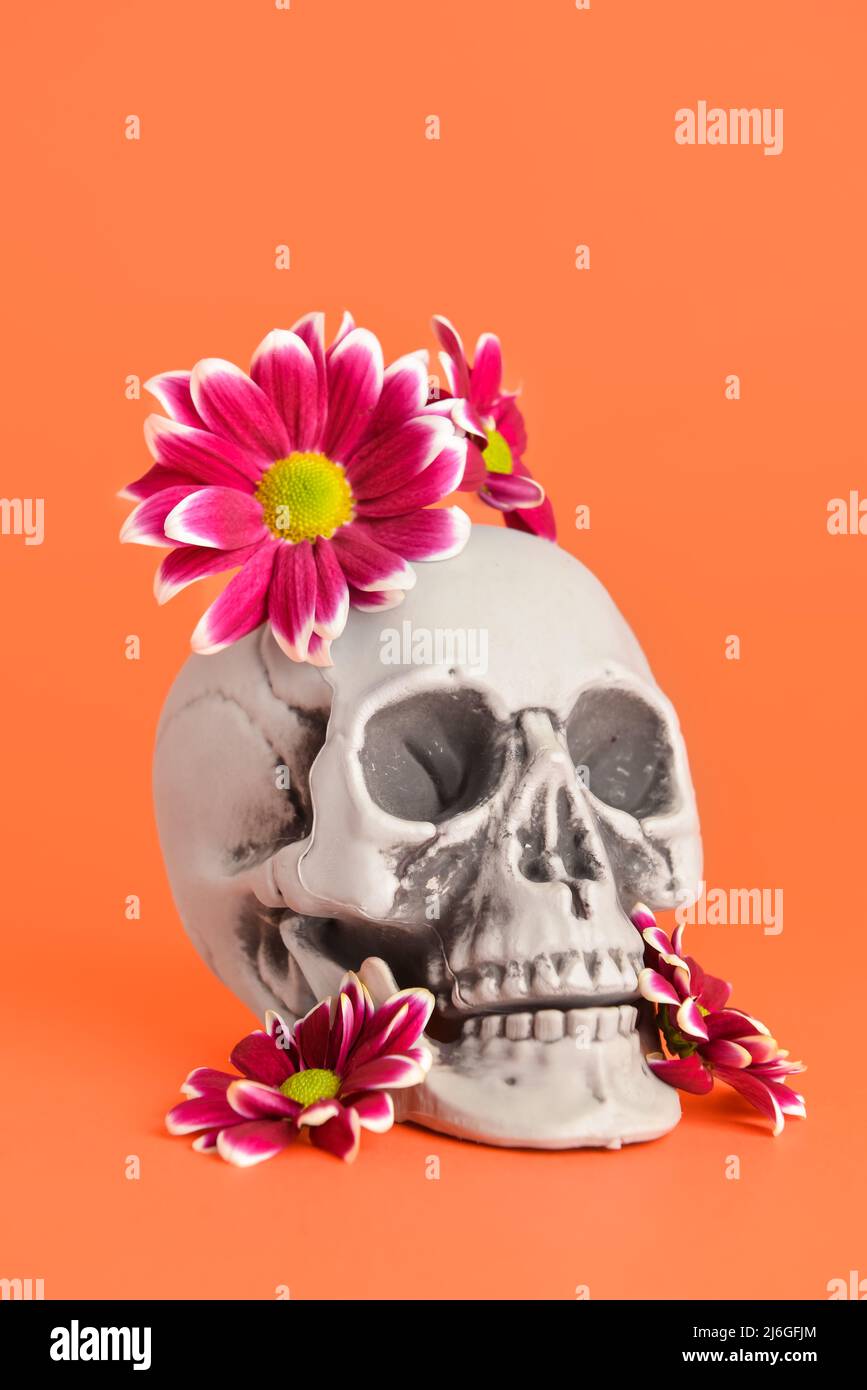 Human skull beautiful flowers hi-res stock photography and images - Alamy