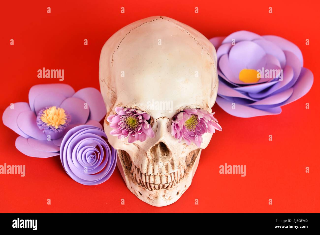 Human skull paper flowers hi-res stock photography and images - Alamy