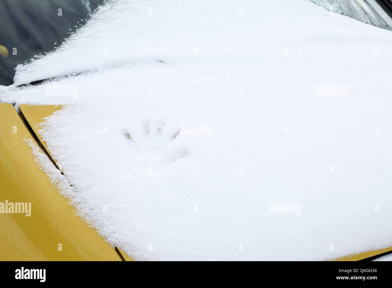 Handprint on snow covered car Stock Photo - Alamy
