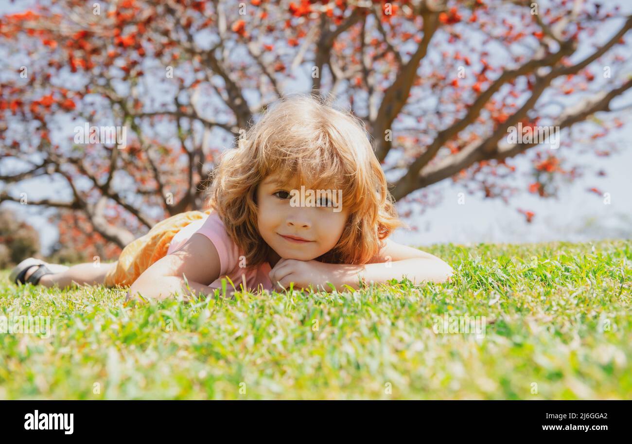 Child laying in grass in summer nature park. Kids face, little boy ...