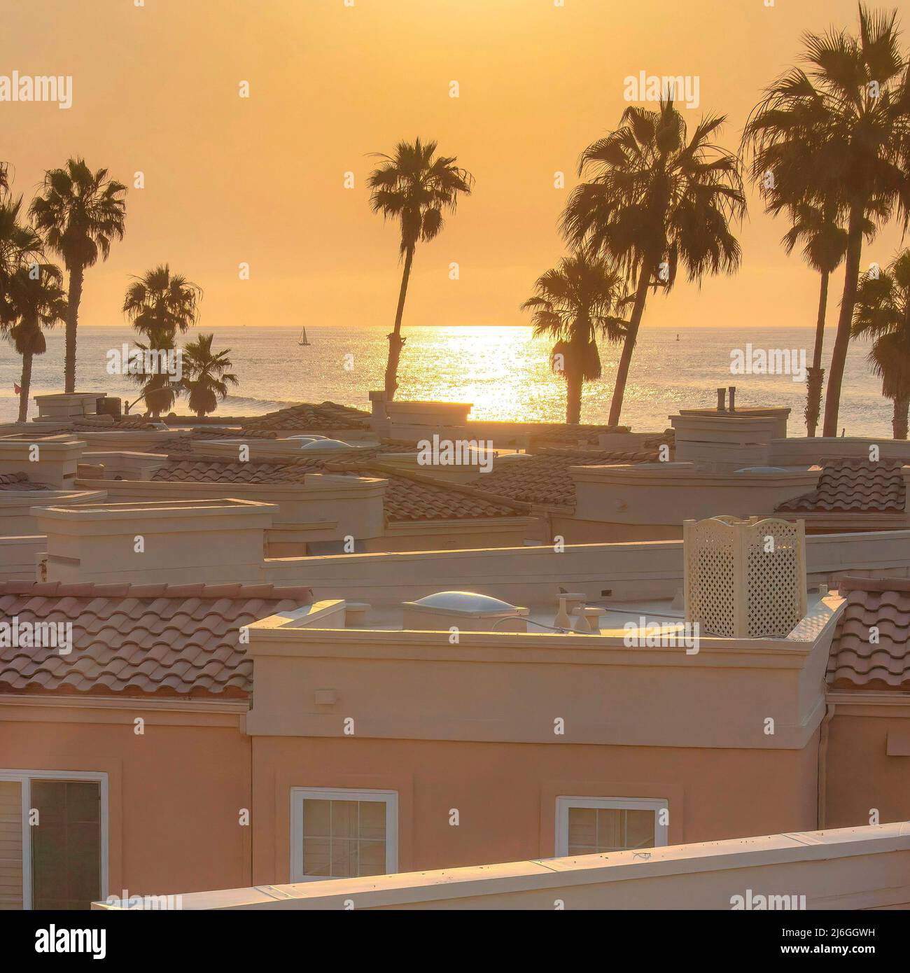 Square Roof decks with a view of the beach and palm trees at Oceanside ...