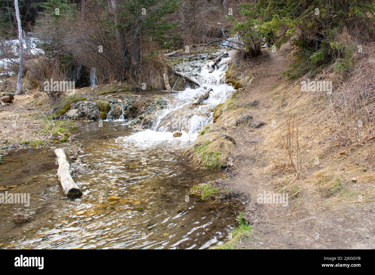 Seep through hi-res stock photography and images - Alamy