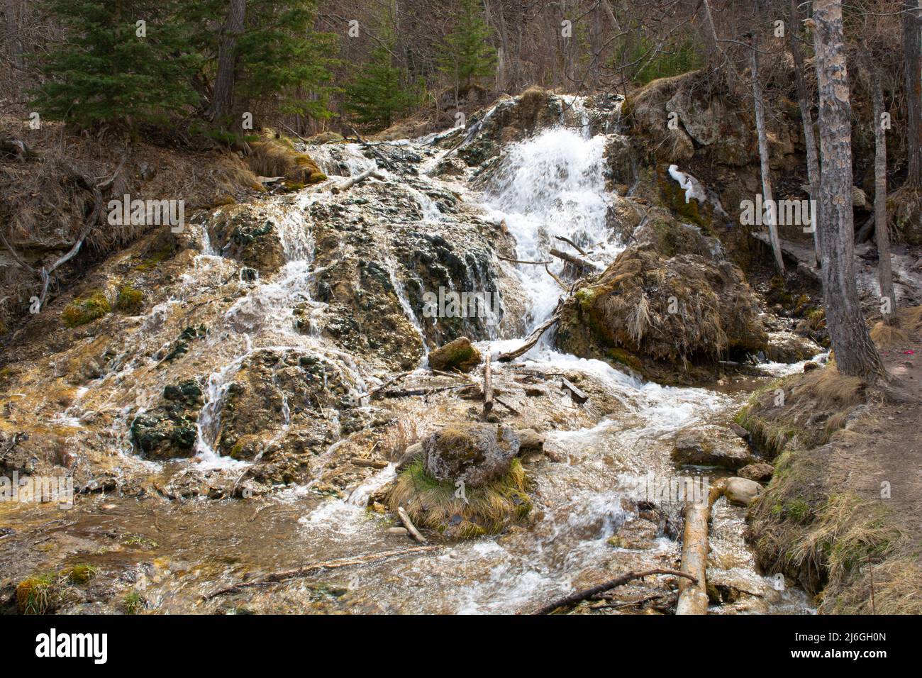 Spring Stream Flowing through Woods - Waterfall Flow Stock Photo - Alamy