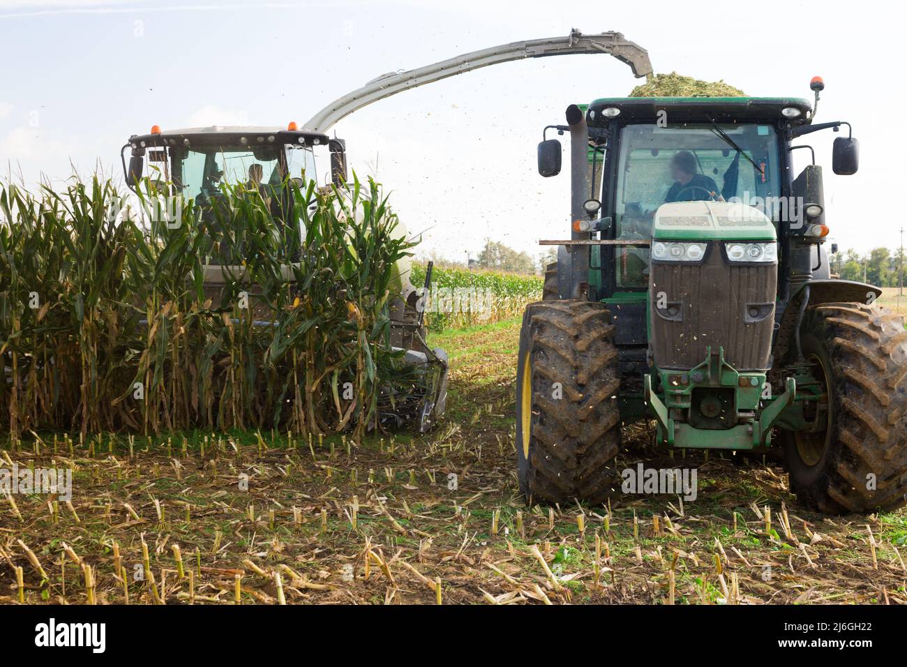 Agricultural machinery produces harvesting of maize Stock Photo - Alamy
