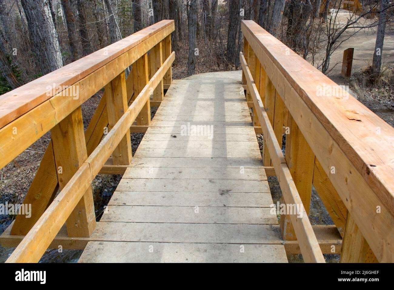 Wood foot bridge in forest hi-res stock photography and images - Alamy