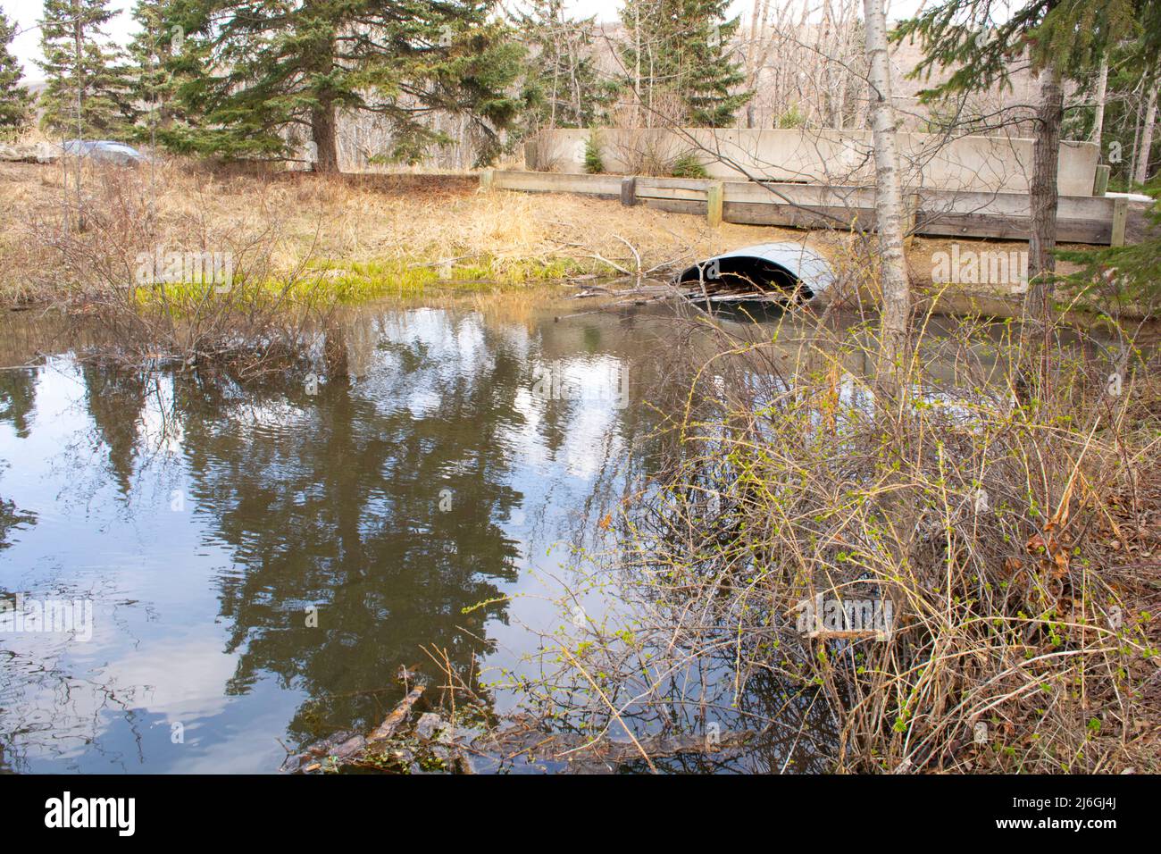Culvert Pipe Under Road From Stream Oxbow in Park Stock Photo - Alamy