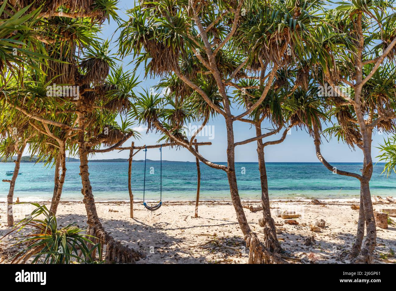 White sand Loedi Beach with pandan trees and a swing at Rote Island ...