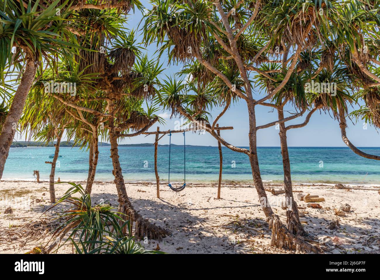 White sand Loedi Beach with pandan trees and a swing at Rote Island ...