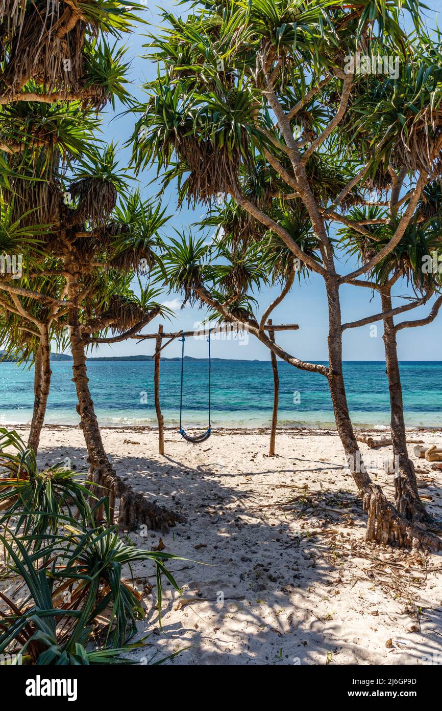 White sand Loedi Beach with pandan trees and a swing at Rote Island ...