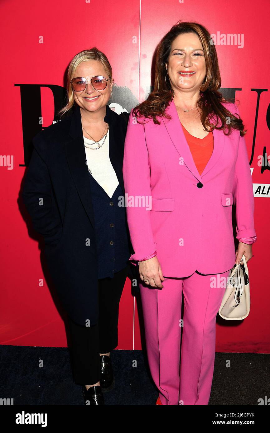 Amy Poehler Husband 2022