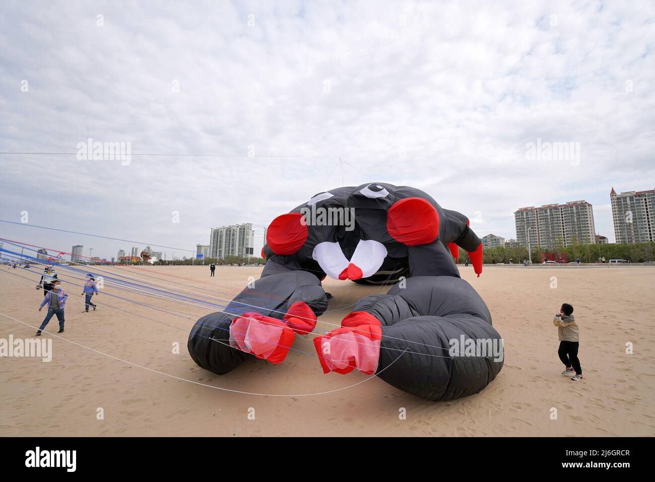 YANTAI, CHINA - MAY 1, 2022 - A group of kite lovers attempt to fly a ...